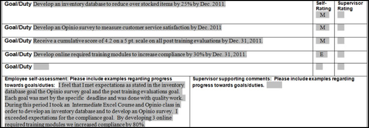 Sample Employee Self Evaluation Form Classles Democracy